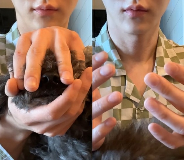 「SHINee」KEY（キー）、愛犬と「BLACKPINK」ジスの「FLOWER」チャレンジに挑戦…“ただぜんぶ失敗”（動画あり） | K ...