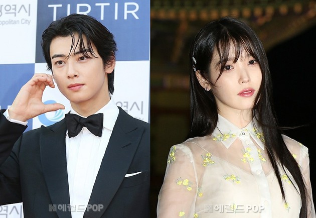 チャウヌ（ASTRO）＆IU（アイユー）、“夏のバカンスに一緒に行きたい男女スター”1位に！ | K-POP、韓国エンタメニュース、取材レポートならコレポ！