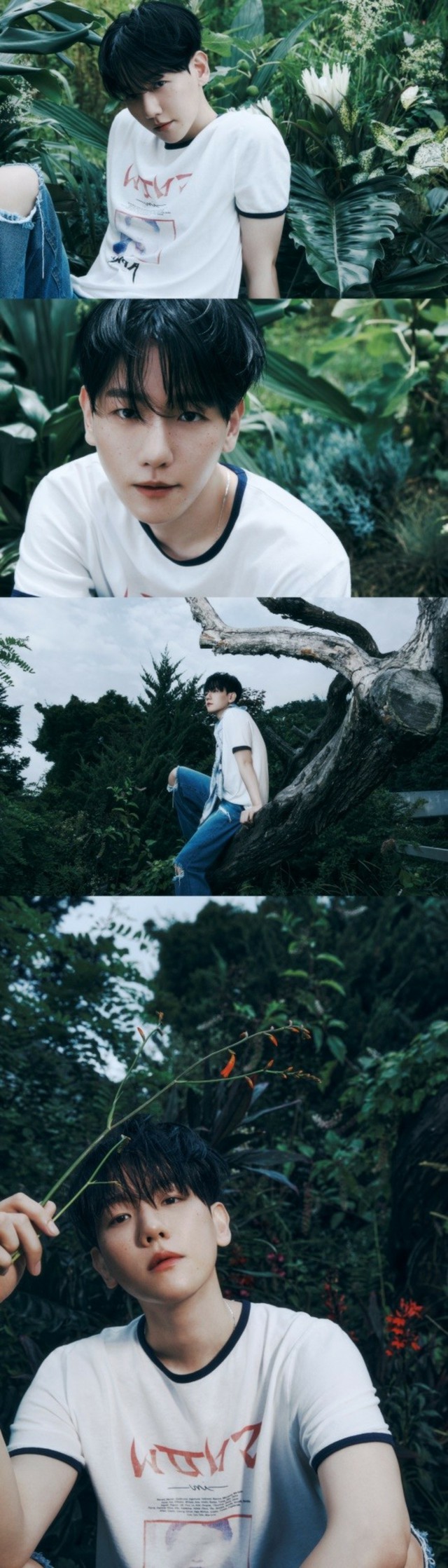 BAEK HYUN（EXO）、4thミニアルバム「World ver.」コンセプトフォト公開…ロマンス映画の主人公 | K-POP、韓国エンタメニュース、取材レポートならコレポ！